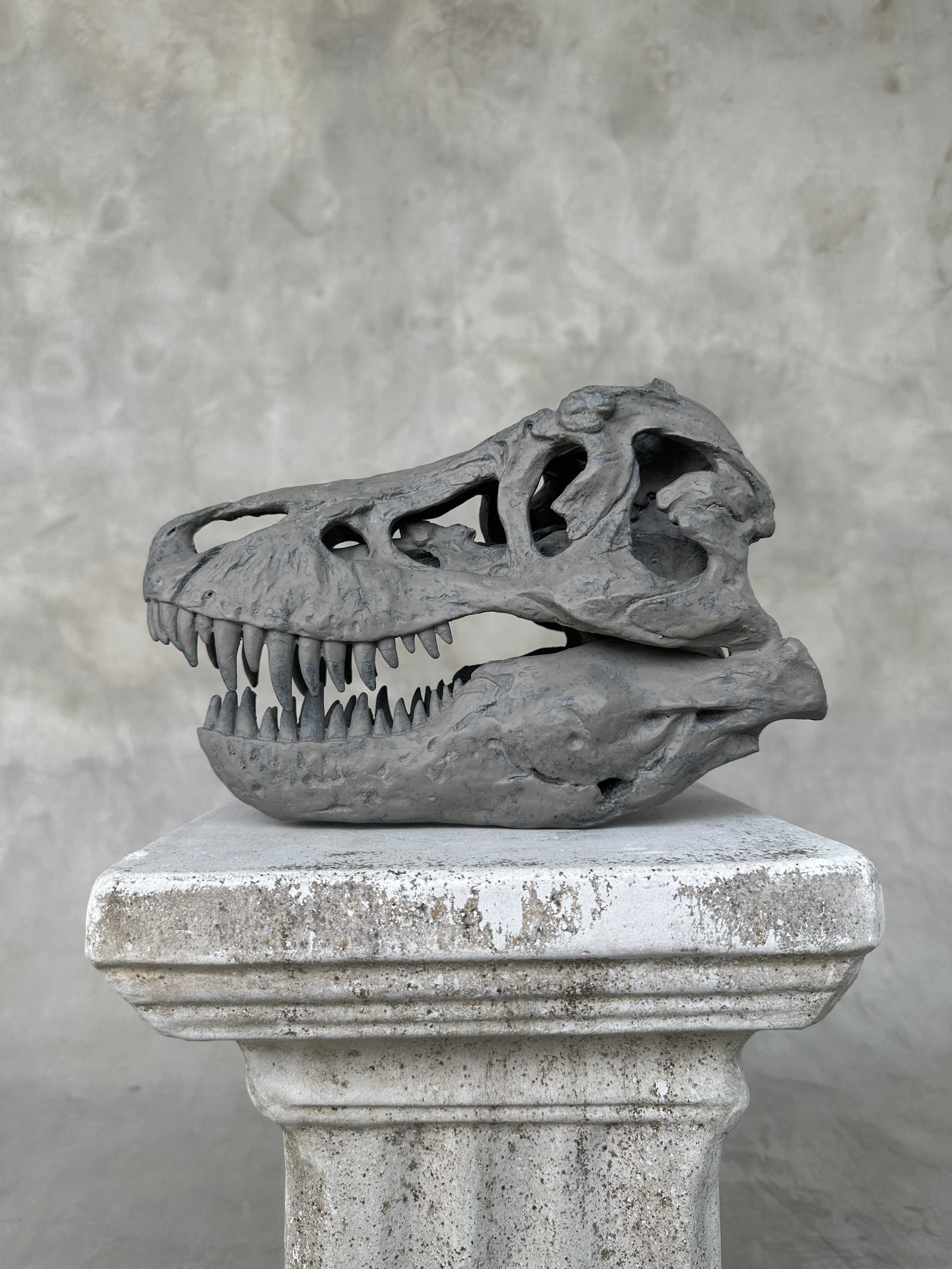 T-Rex Grey - RS006 – Archive Fifty-Five